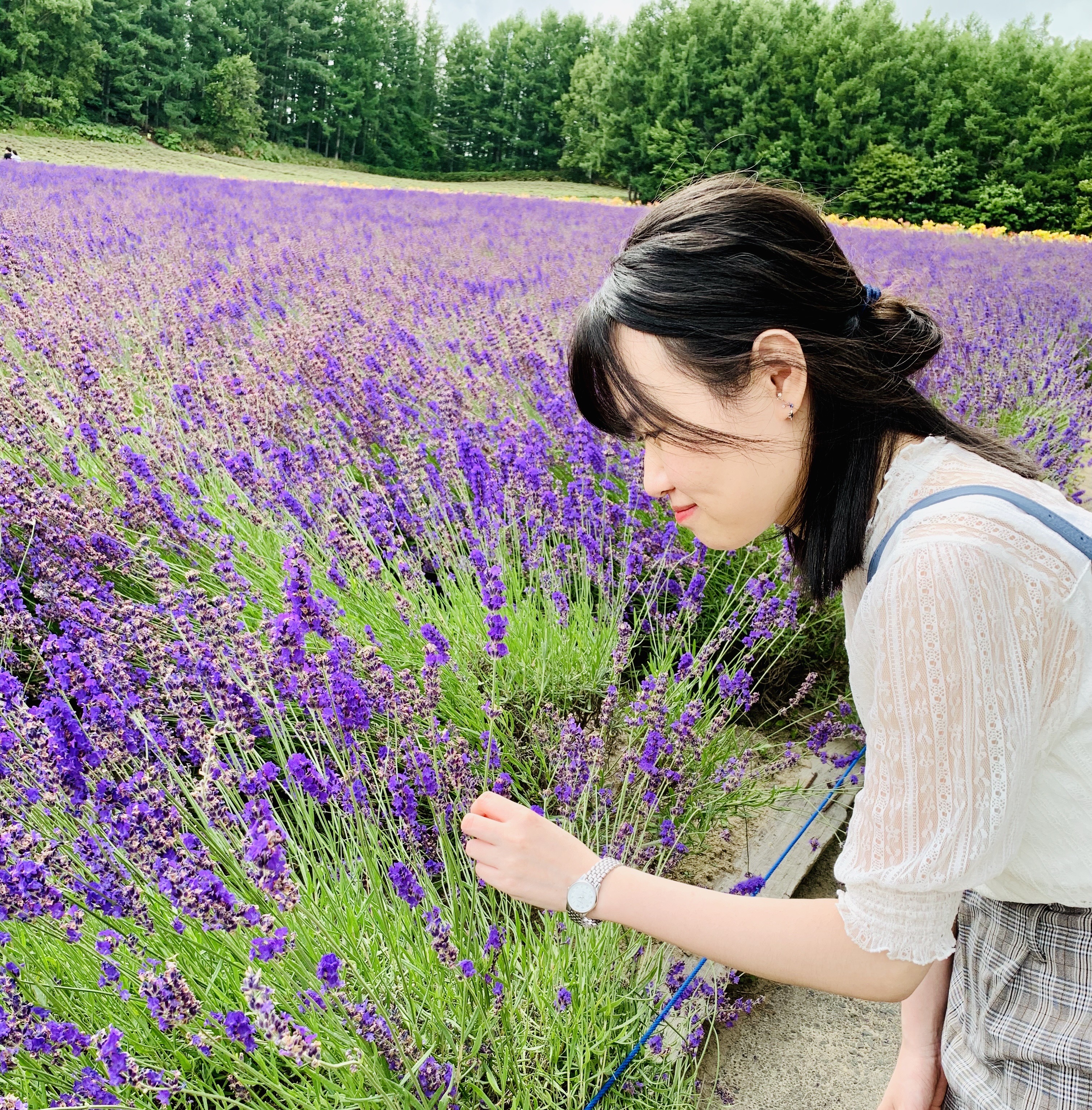 Publications – Dongyang Yan